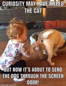 Friday Meme Thing! - Granite Grok