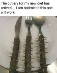 Friday Meme Thing! - Granite Grok