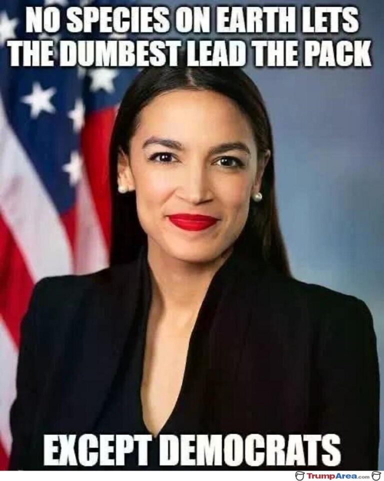 Friday Meme Thing! - Granite Grok