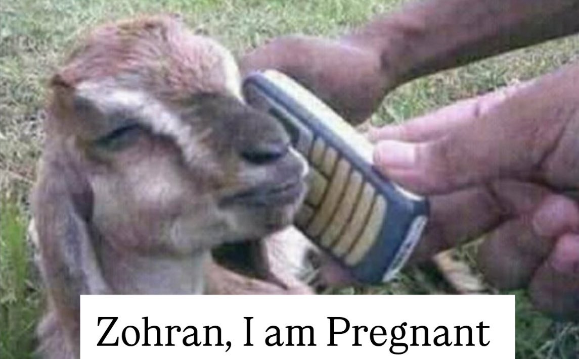 Midweek Memes - Granite Grok